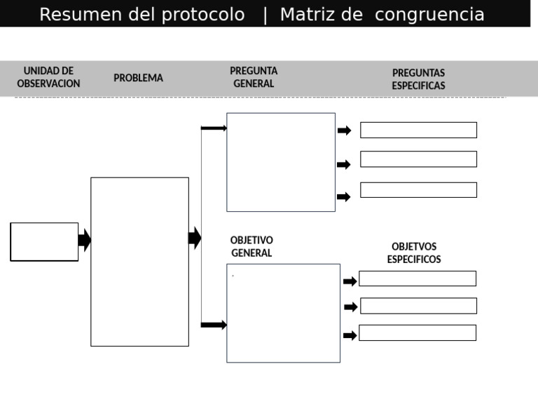 ESQUEMA Matriz de Congruencia - Parcial 1TAINV E-J 2025 | PDF