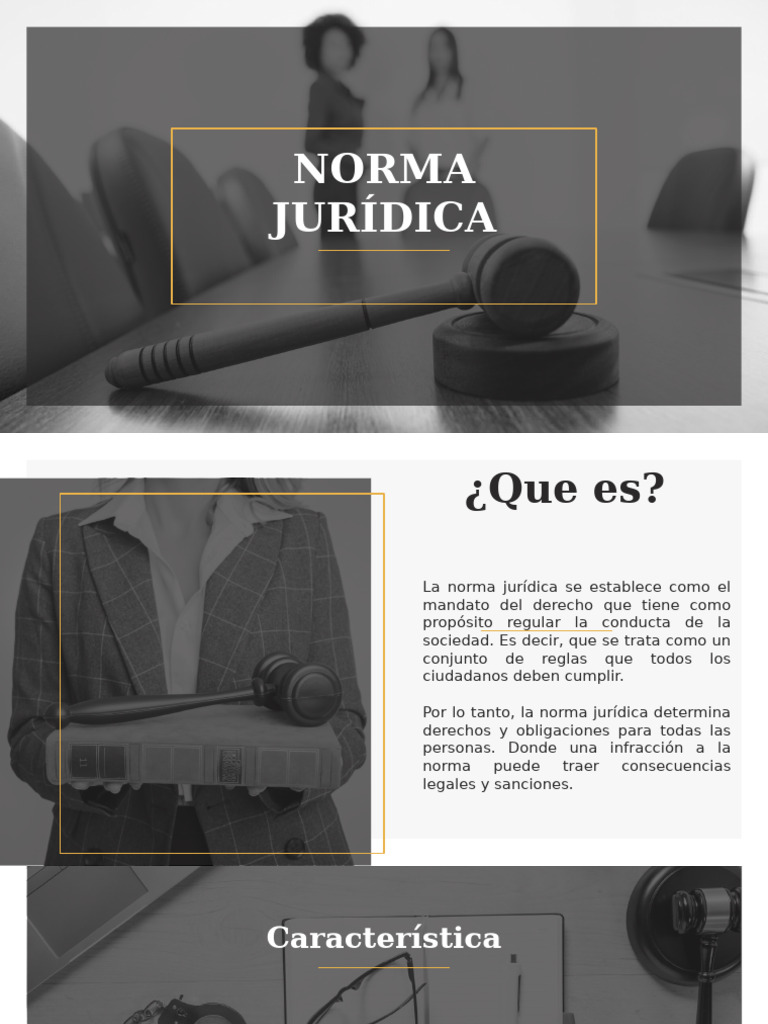 Definición y características de norma jurídica | PDF | Estado (política ...