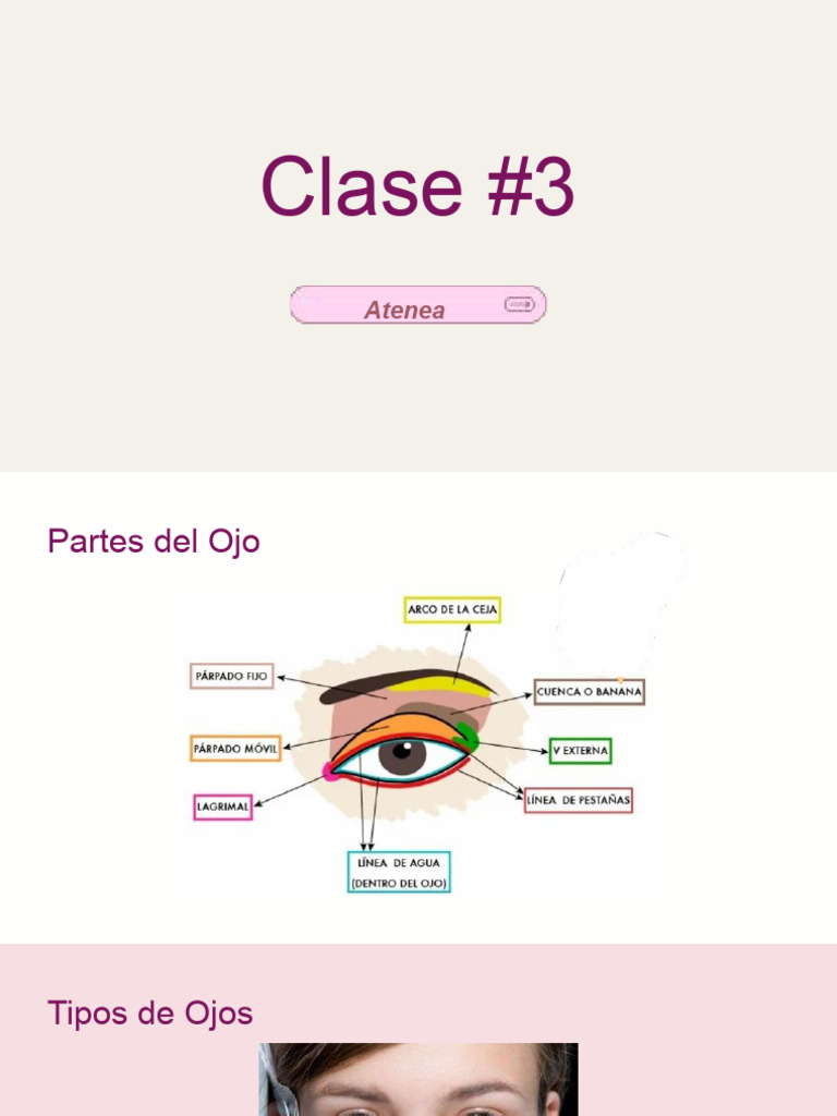 Atenea Clase #3 | PDF | Productos cosméticos