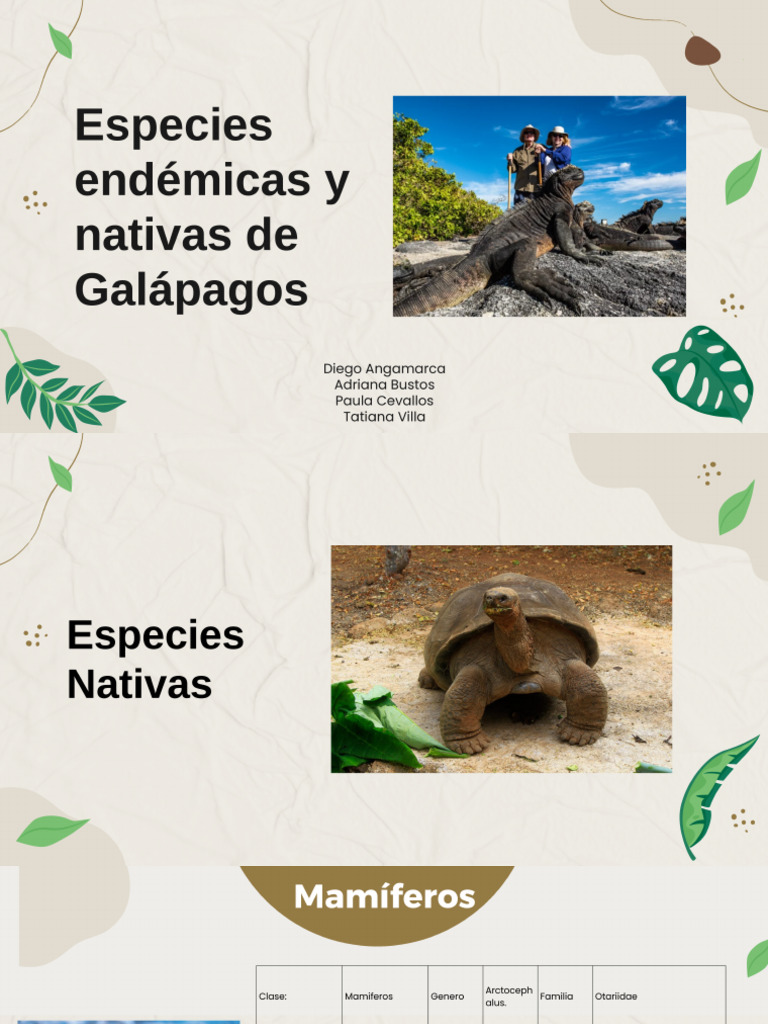 Especies Endémicas de Galápsgos | PDF