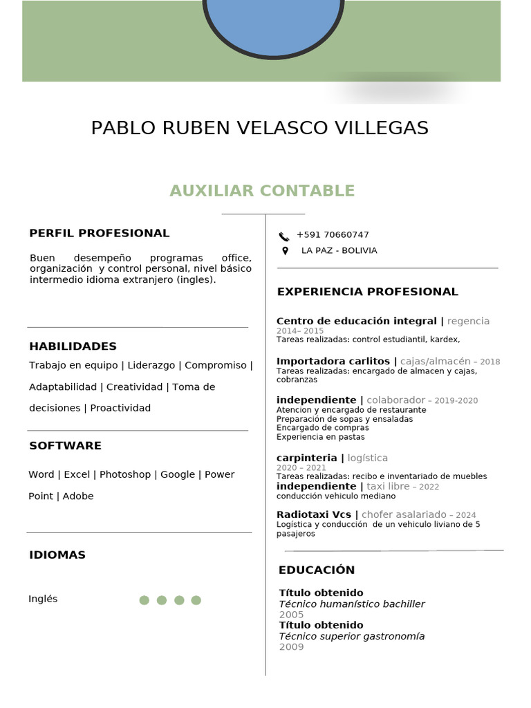 pablo vitae corregido2 | PDF | Software de la aplicacion | Software