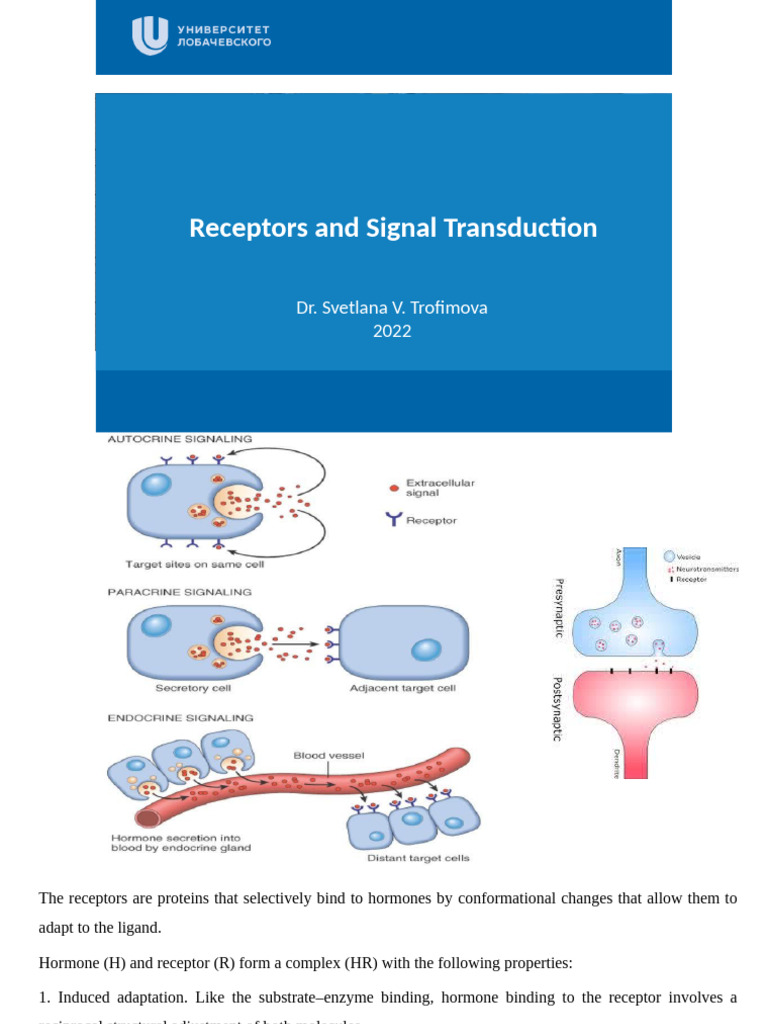 Lecture - Receptors and Signal Transduction - 24 | PDF | Hormone | Cell Signaling