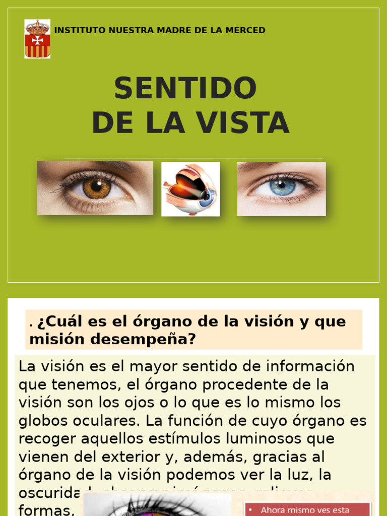 Sentido de La Vista | PDF | Ojo | Percepción visual