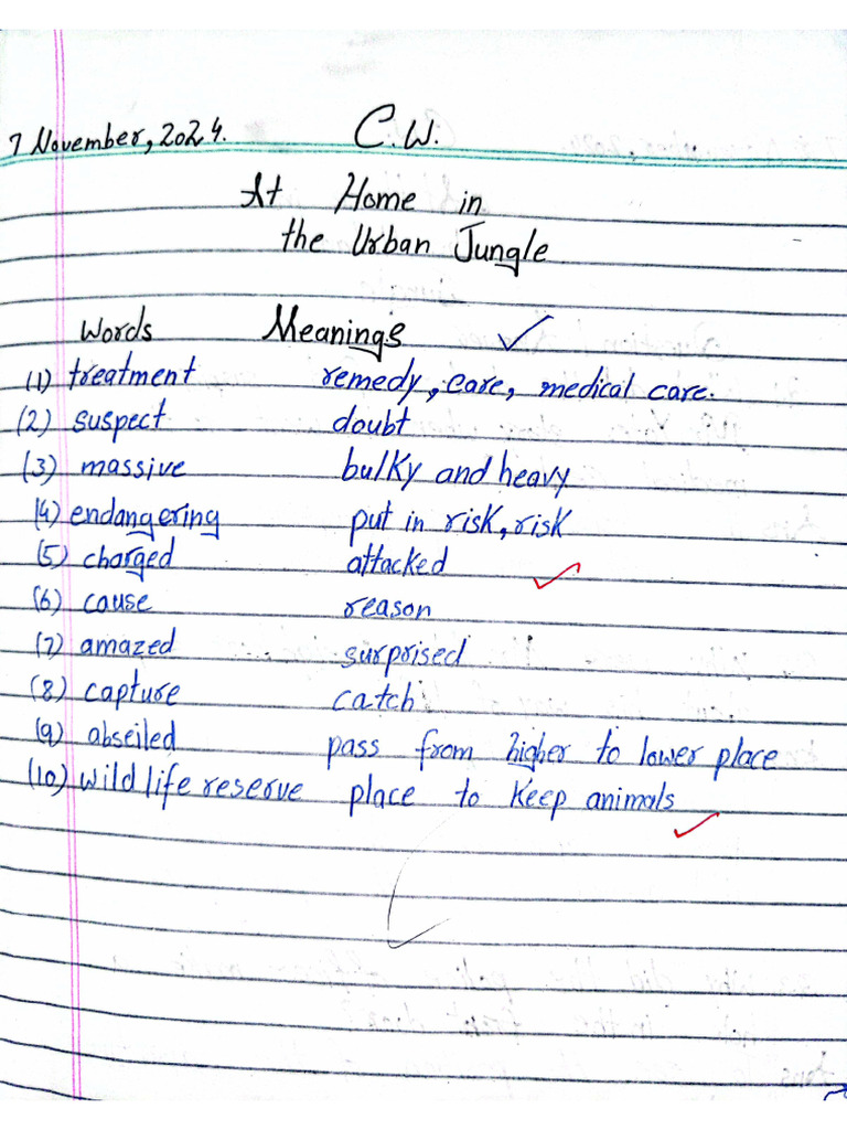 Grade 6 English Final Term Notes | PDF