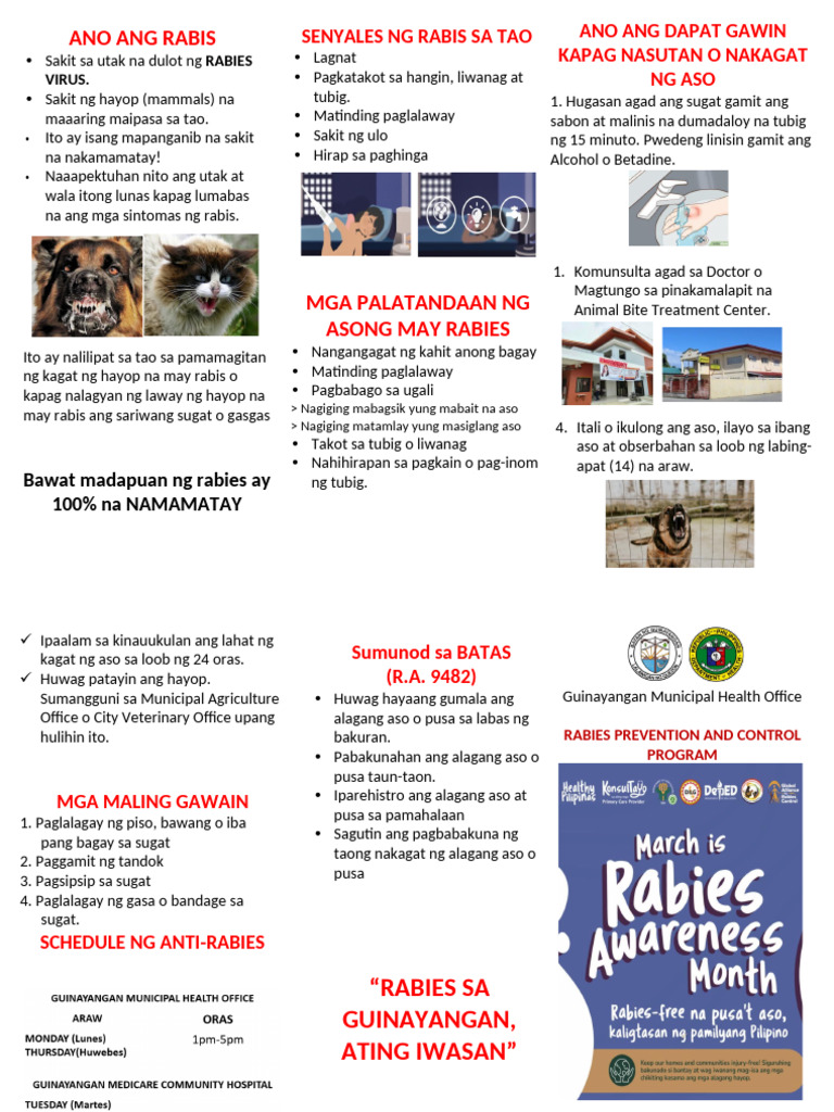 Rabies Leaflets | PDF