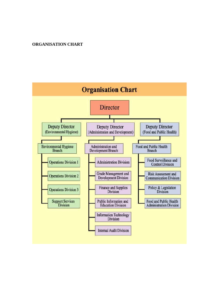 Organisation Chart | PDF