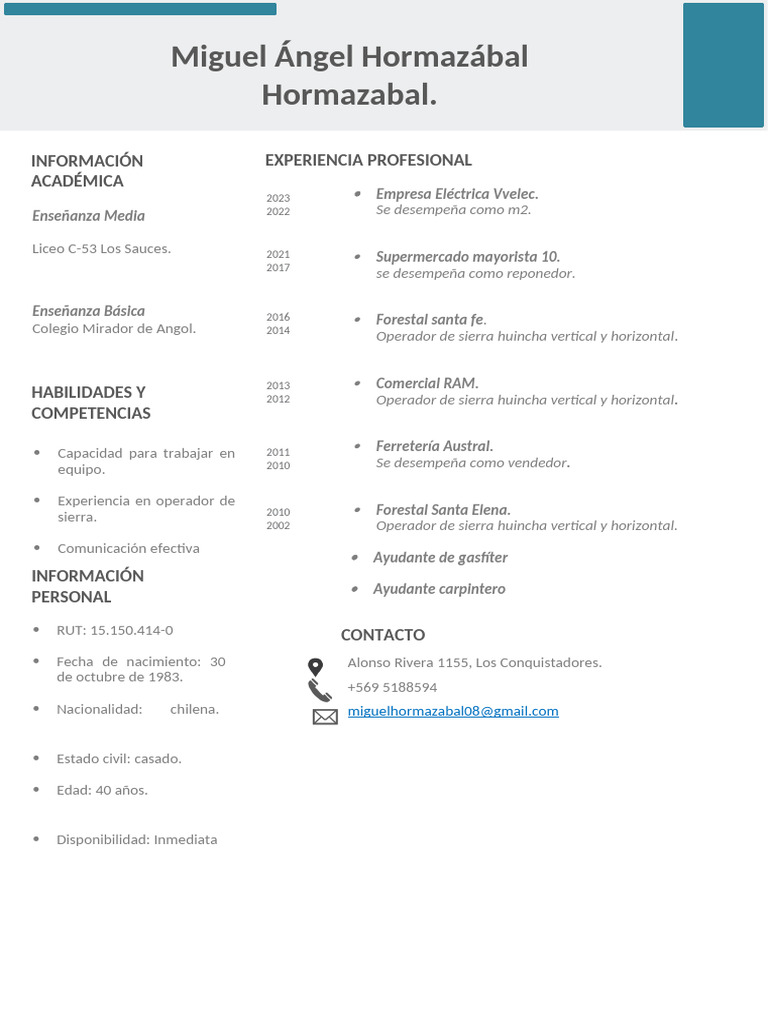 Curriculum Miguel | PDF