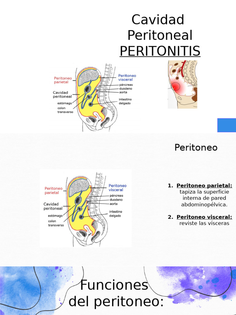 Peritonitis: Causas, Síntomas y Tratamiento | PDF | Peritoneo | Sistema ...