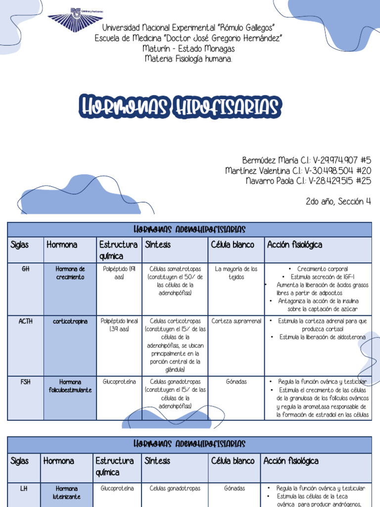 Hormonas Hipofisarias y sus Funciones | PDF | Hormona luteinizante ...