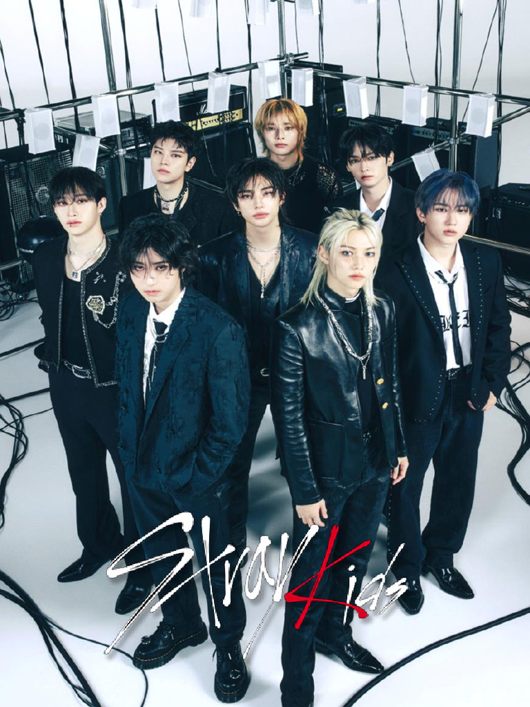 Libro Colorear Stray Kids | PDF
