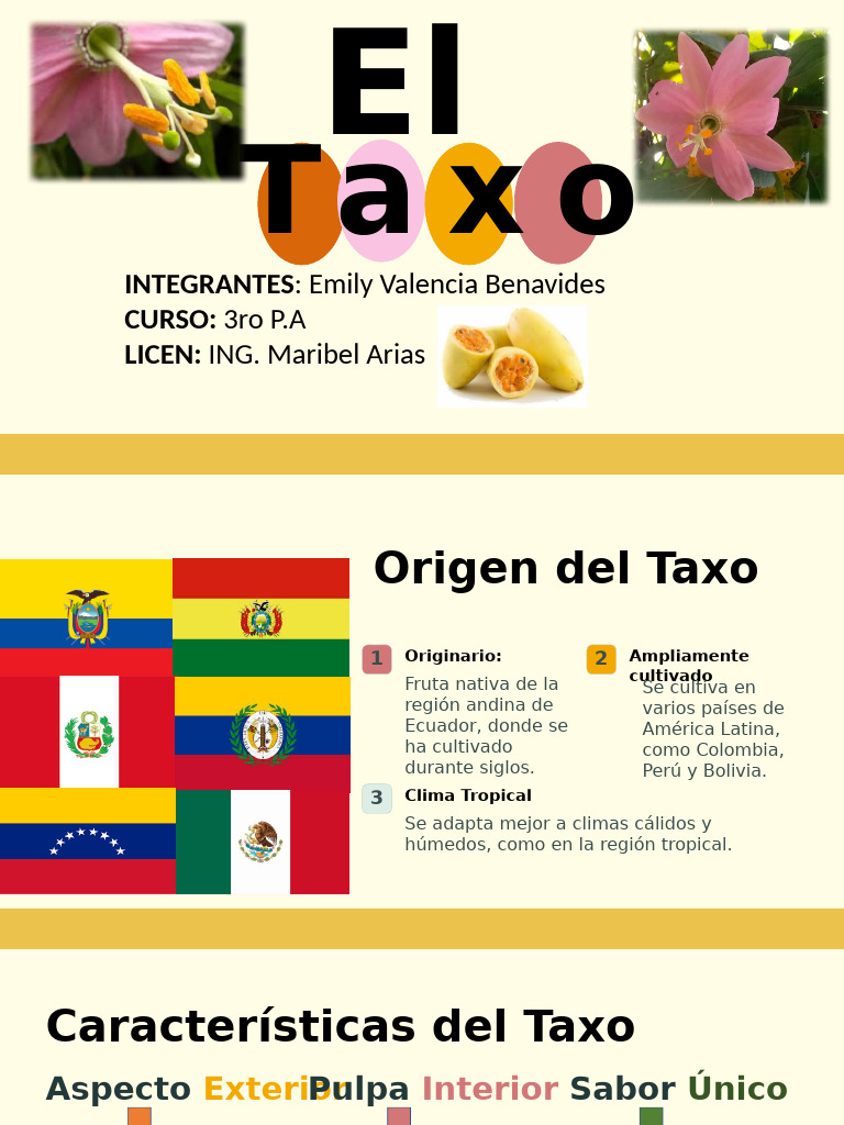 Características y Usos del Taxo | PDF