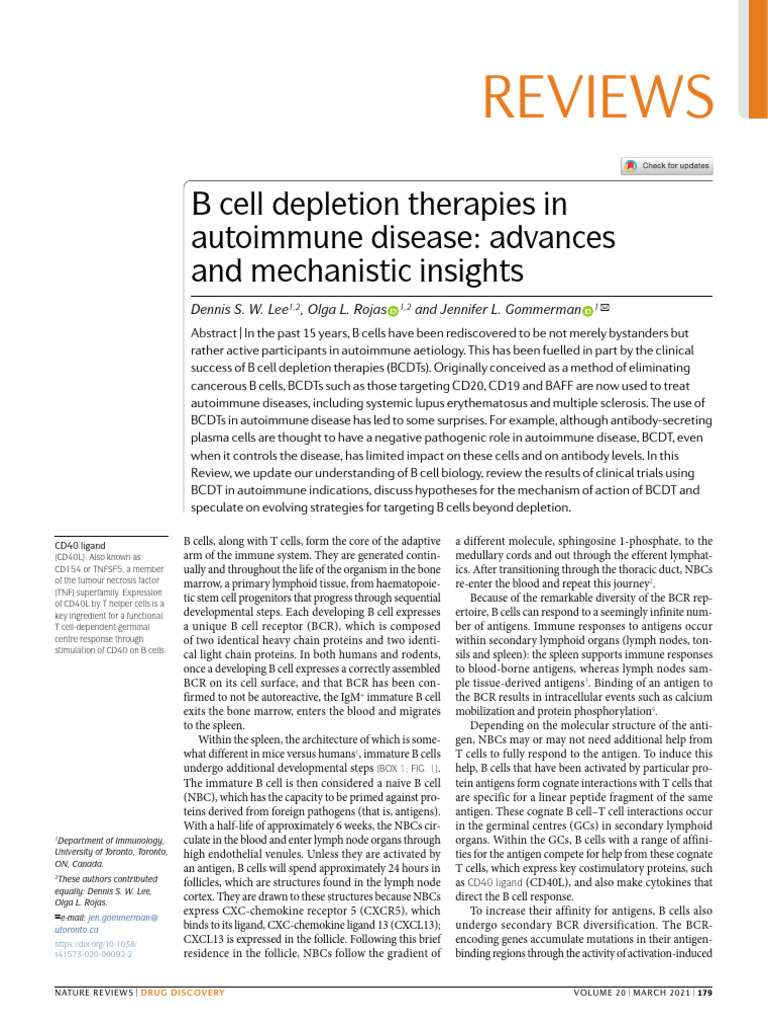 B Cell Immunotherapy | PDF | B Cell | Interleukin 10