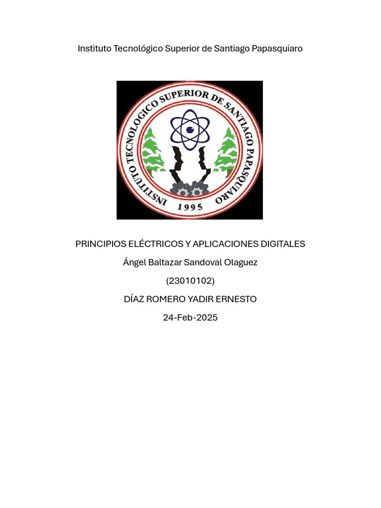 Proyecto ITSSP | PDF