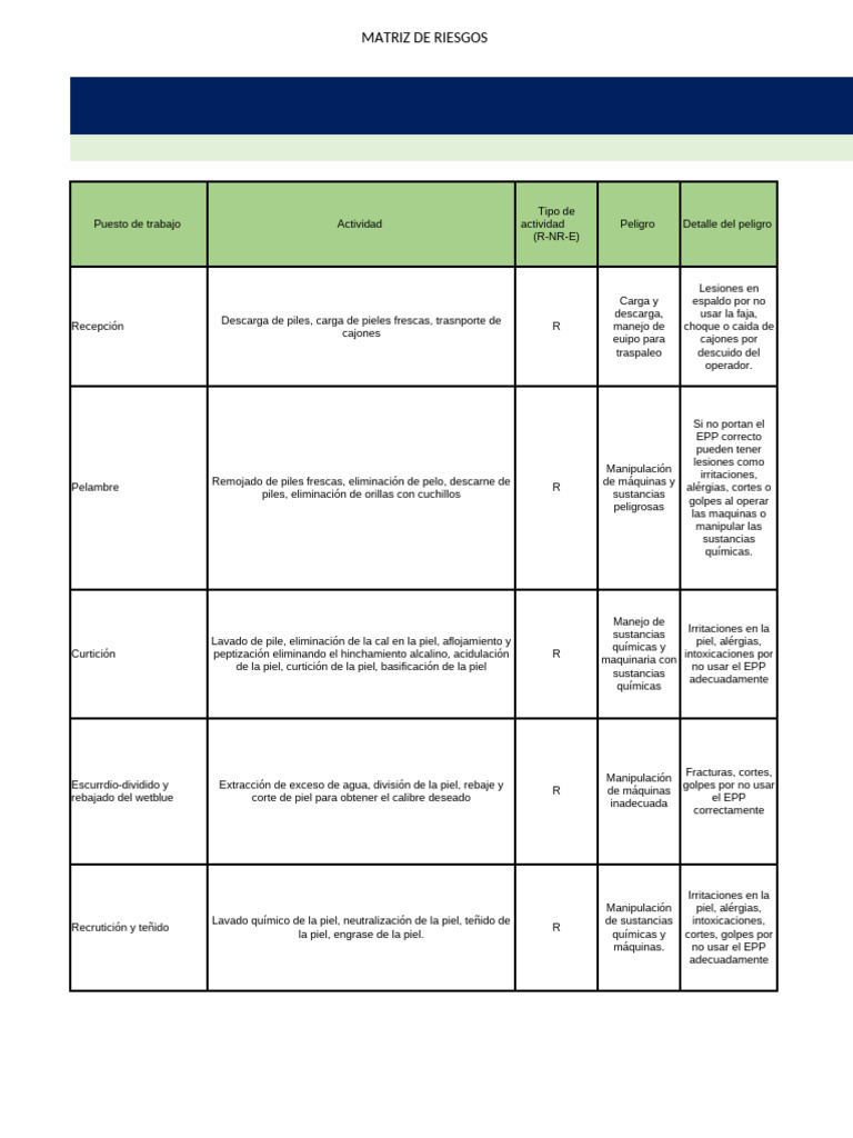 Matriz de Riesgos | PDF