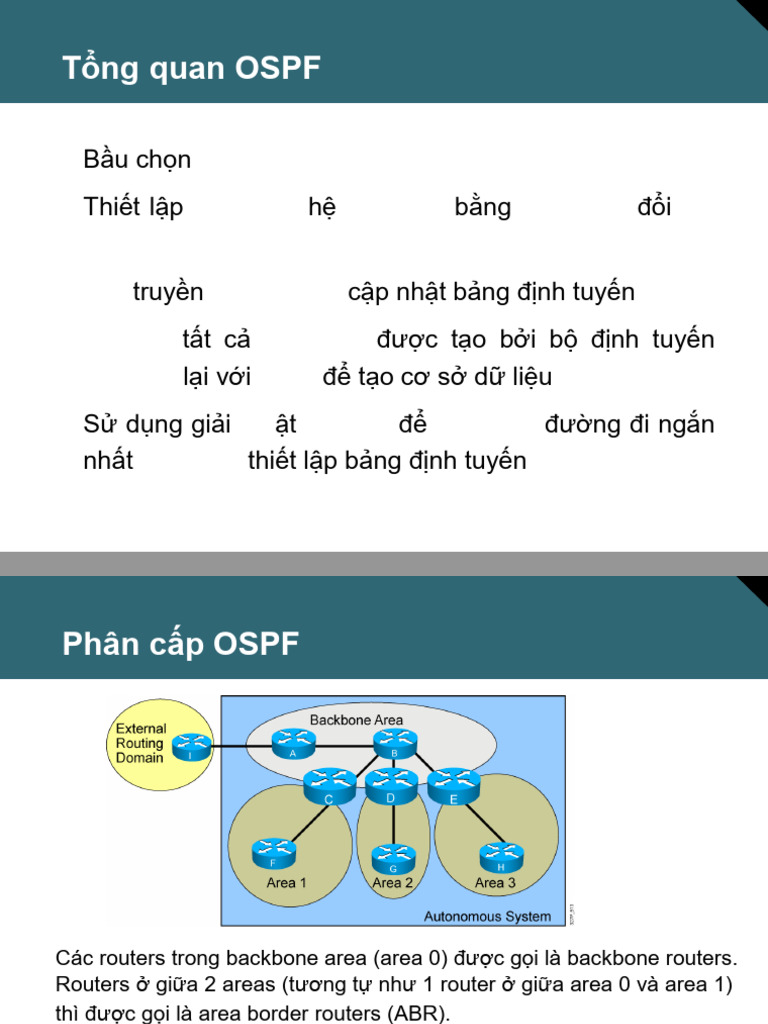 11.ute - Dynamic Routing - OSPF | PDF