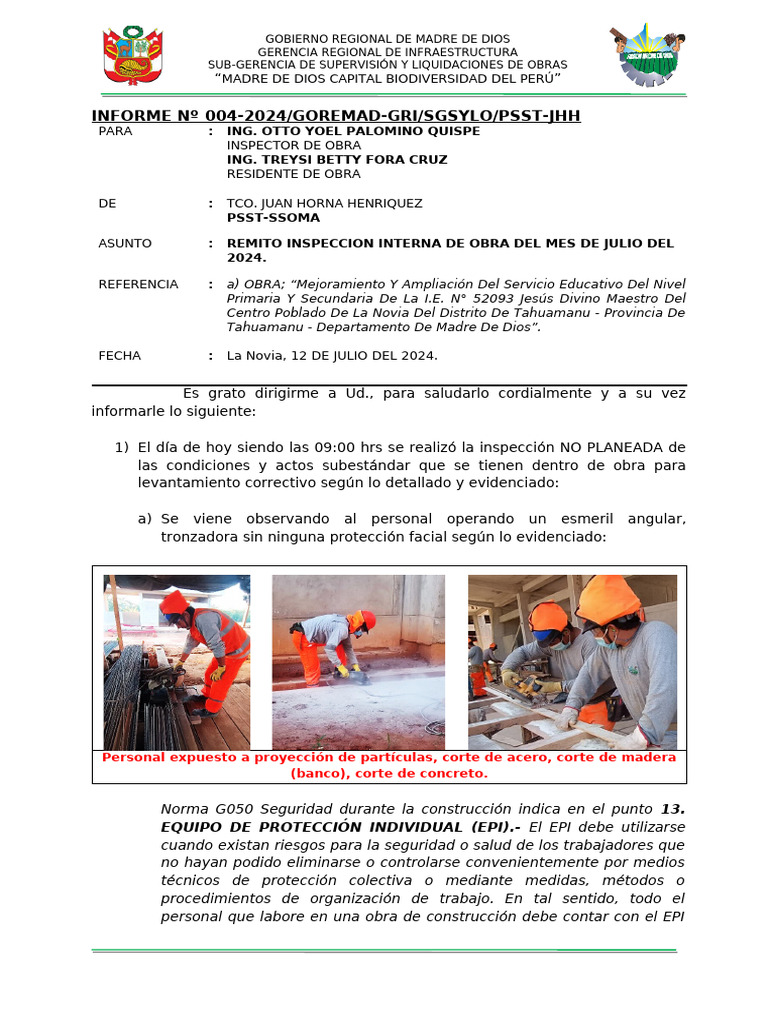 INFORME 003 - INSPECCION INTERNA JULIO | PDF