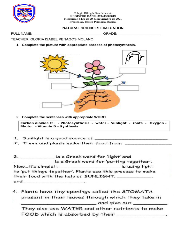 Evaluación Natural Sciences 6° | PDF