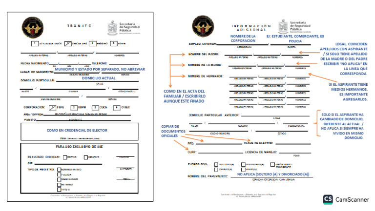 1.1 Guia de Formato Digi | PDF