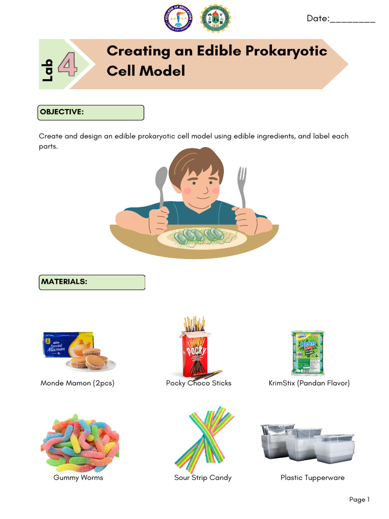 Edible Prokaryotic Cell Model Lab | PDF