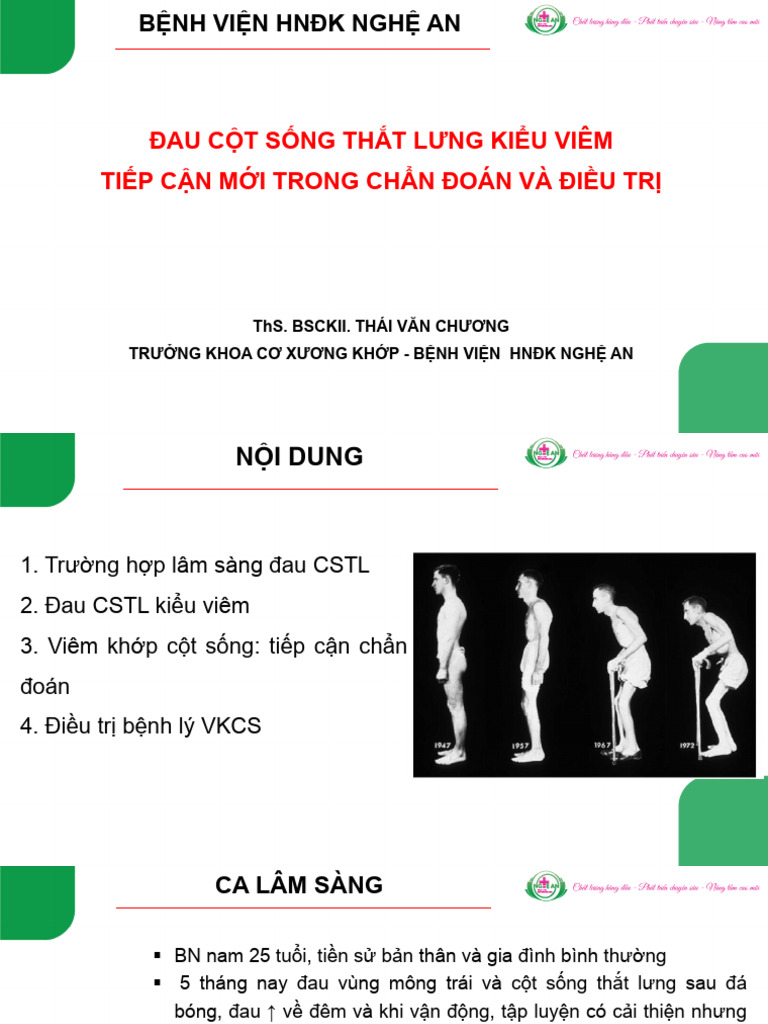 Httpsbvnghean - VNWP ContentuploadsDau CSTL Kieu Viem - PDF.FXP PDF | PDF