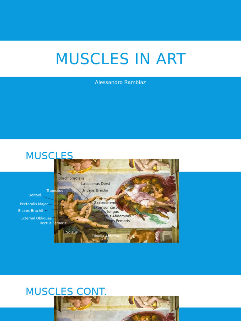 Muscles in Art | PDF | Pelvis | Soft Tissue