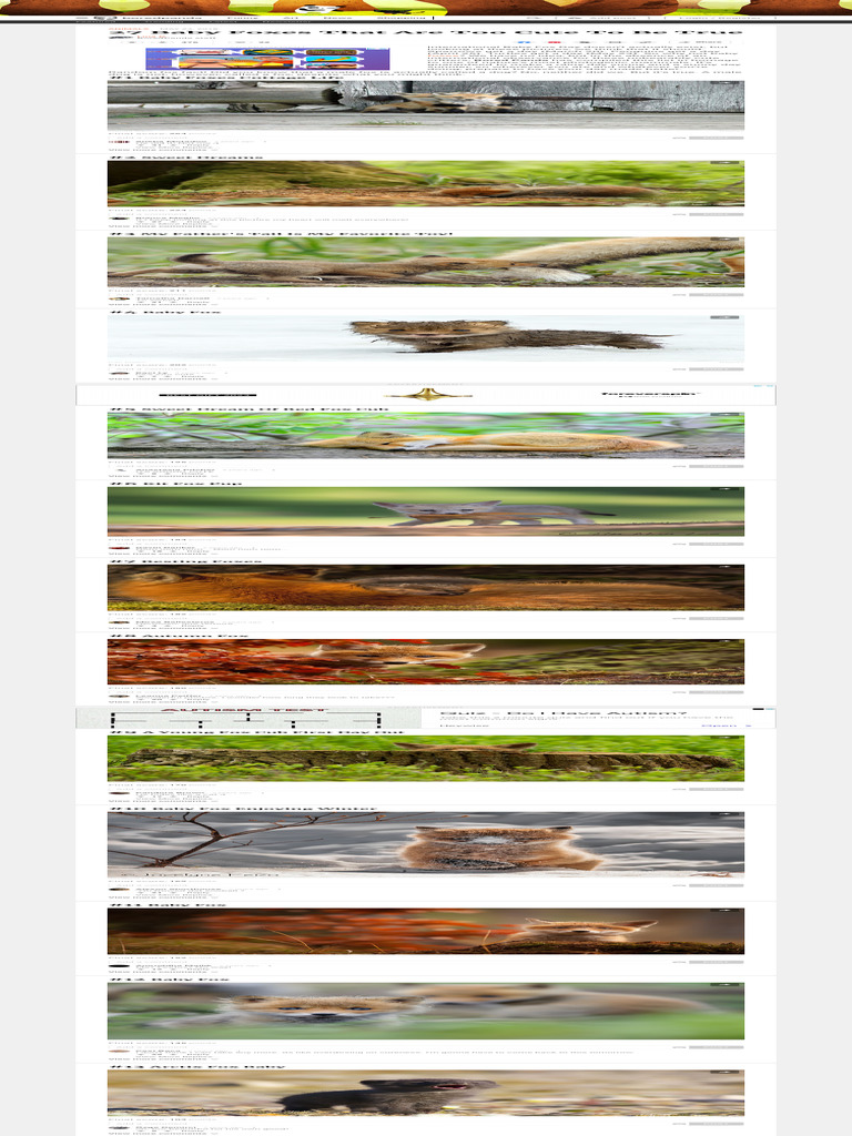 27 Baby Foxes That Are Too Cute To Be True Bored Panda 2 | PDF ...