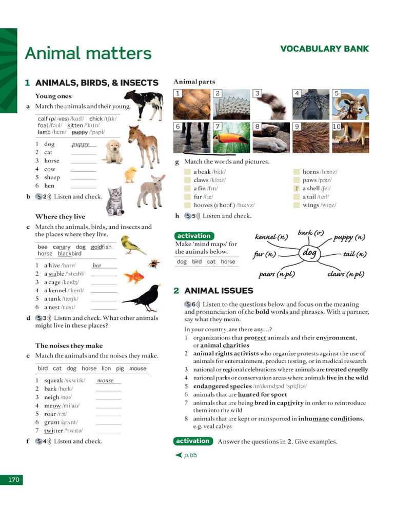 Animal Planet Vocab | PDF