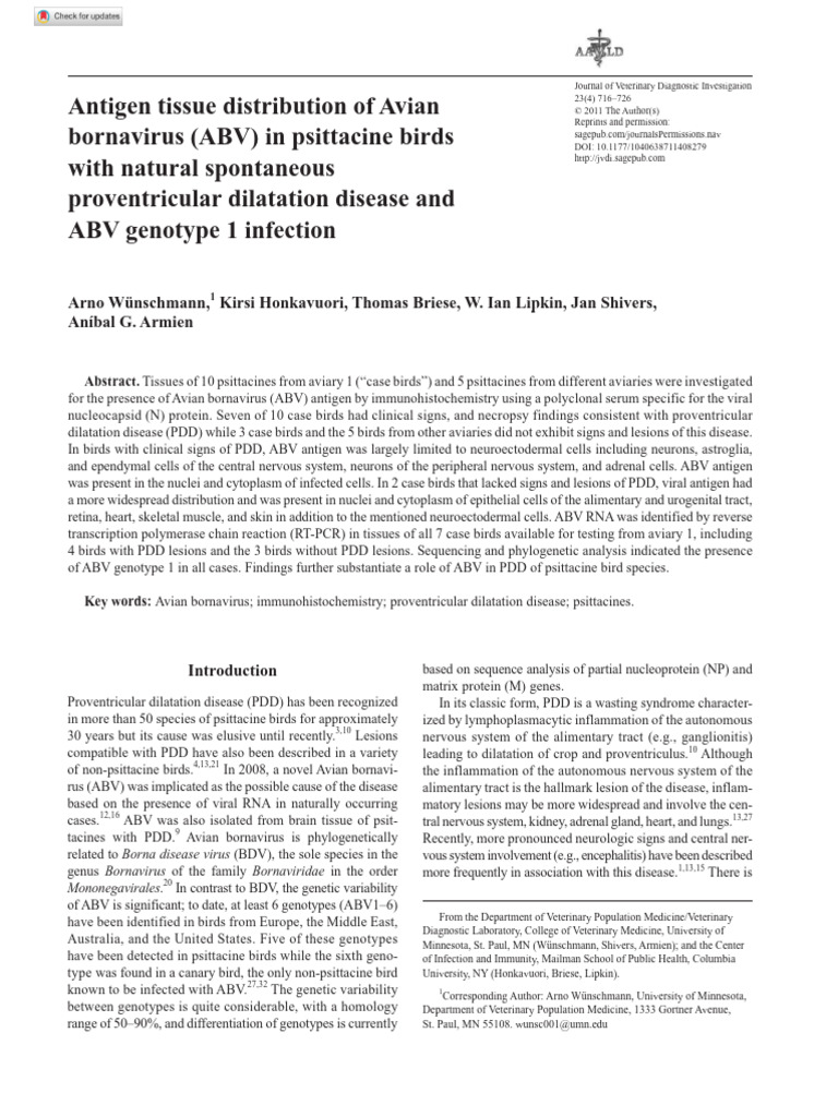Antigen Tissue Distribution of Avian Bornavirus (ABV) in Psittacine Birds With Natural ...