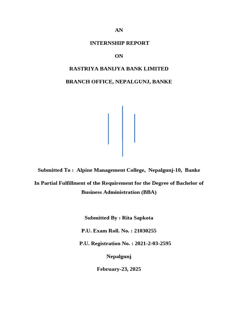 Reports Format (Internship) | PDF | Business