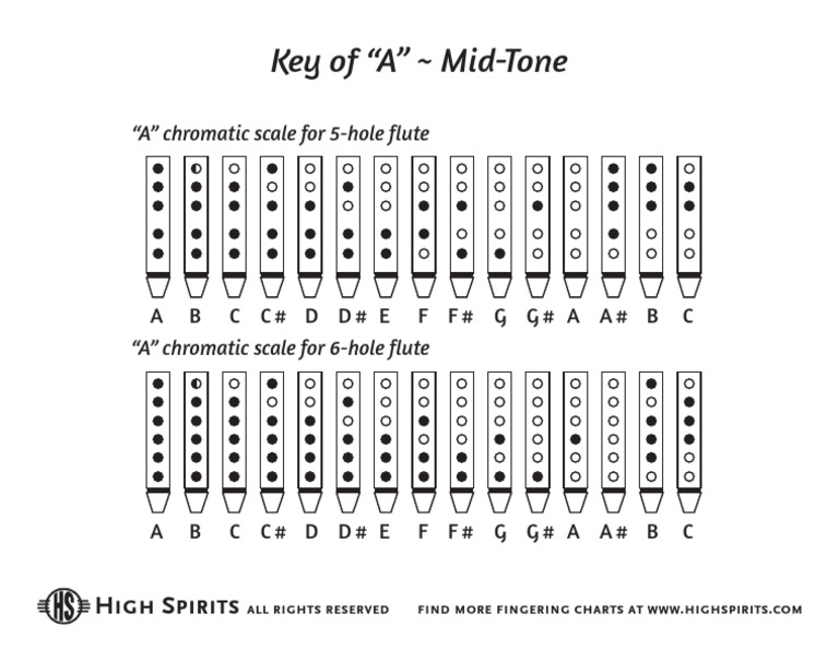 A Chromatic Scale for Flutes | PDF