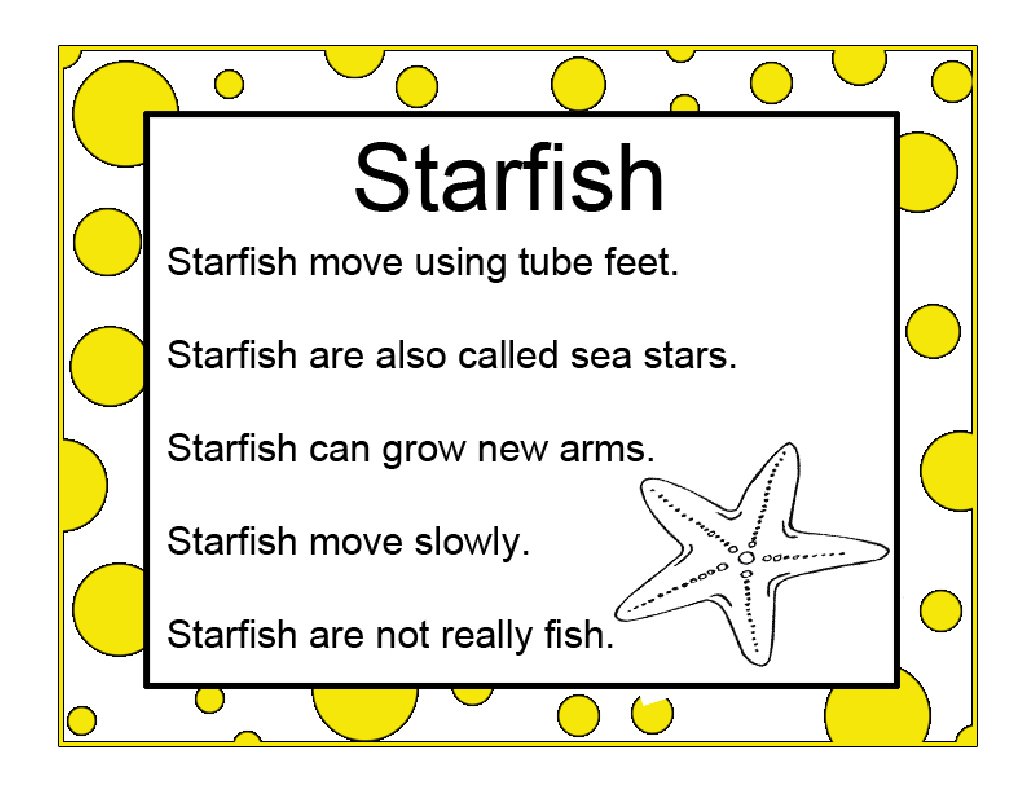 Starfish Info | PDF