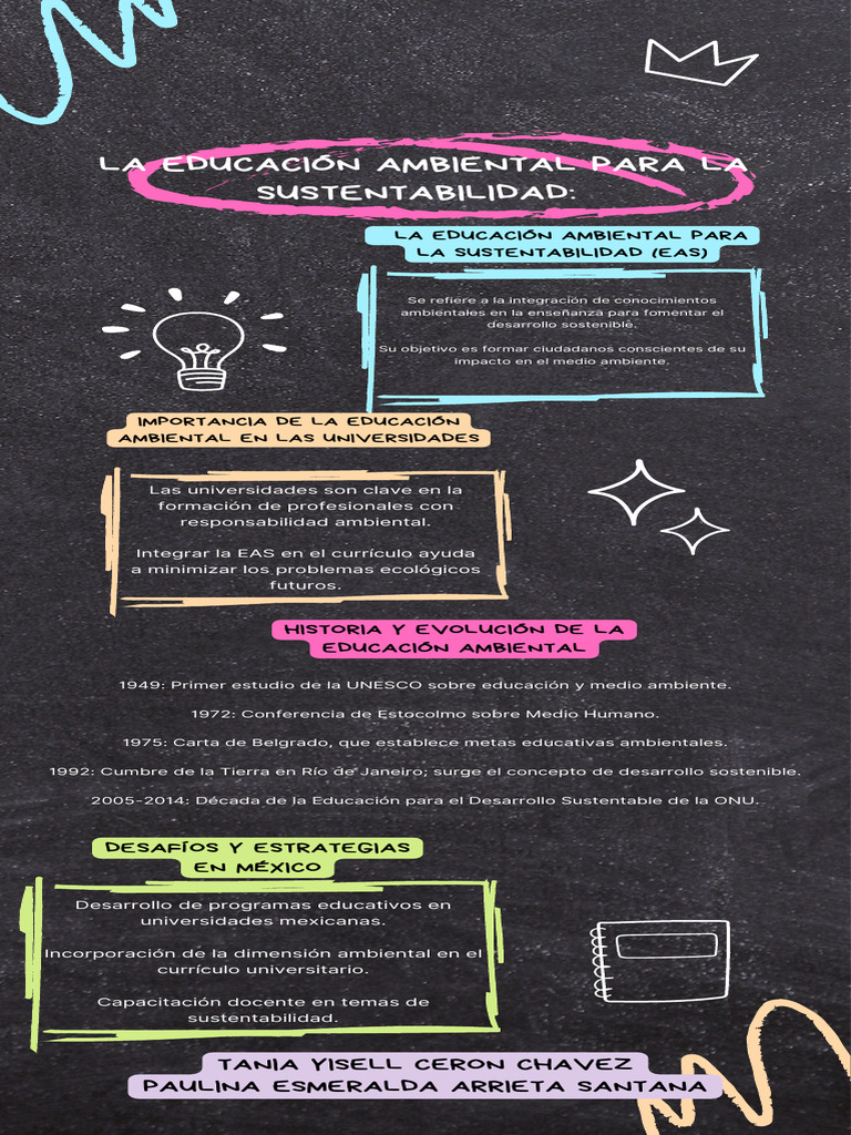 Infografia Creaativa Proyecto Ilustrado Colorido | PDF