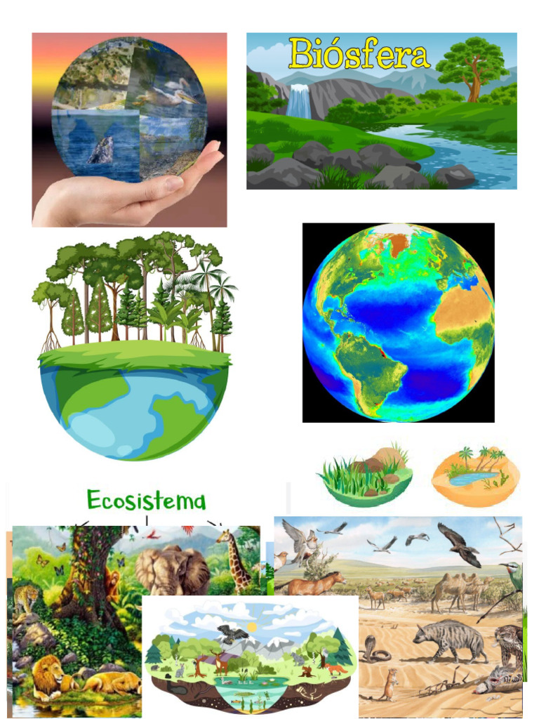 Biosfera Ecosistemas Comunidad Poblacion Imagenes | PDF