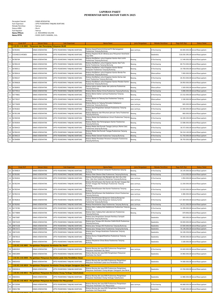 Laporan Emonev Paket | PDF