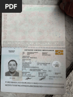 Dni David en Color | PDF