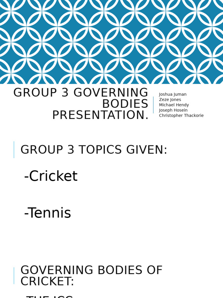 Group 3 Governing Bodies Presentation | PDF
