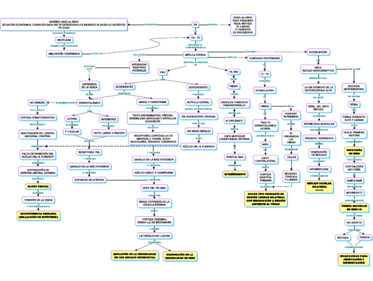ÚLTIMO ABP FSP1 NEURO.cmap | PDF