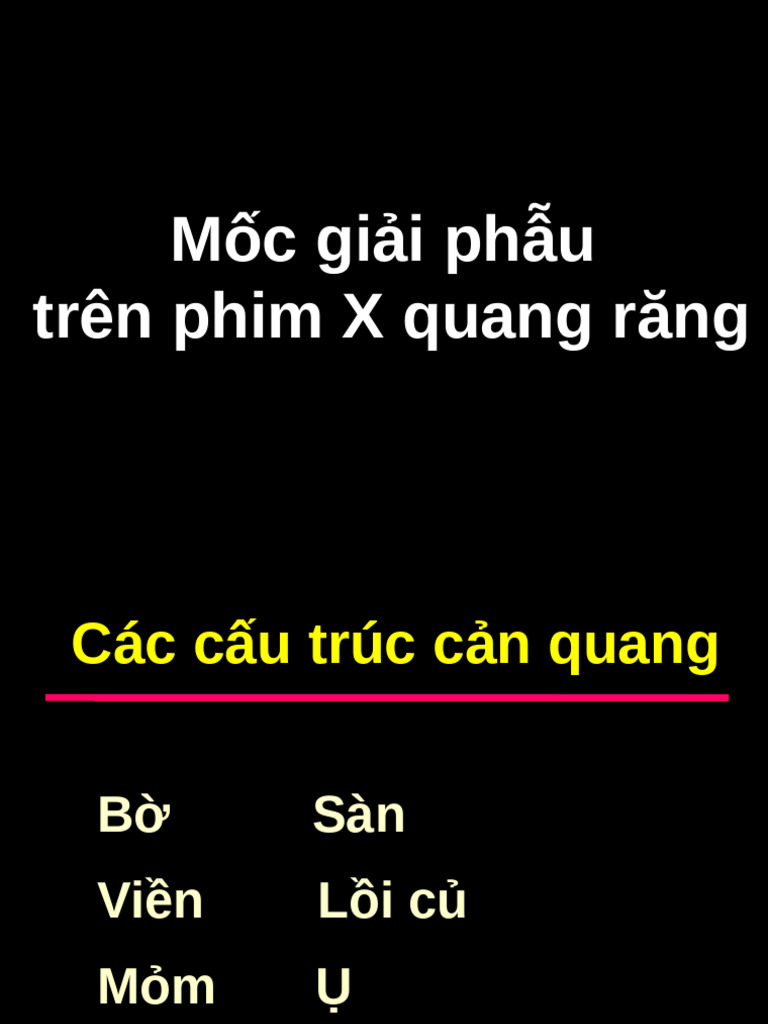 Cac Moc Giai Phau RHM | PDF