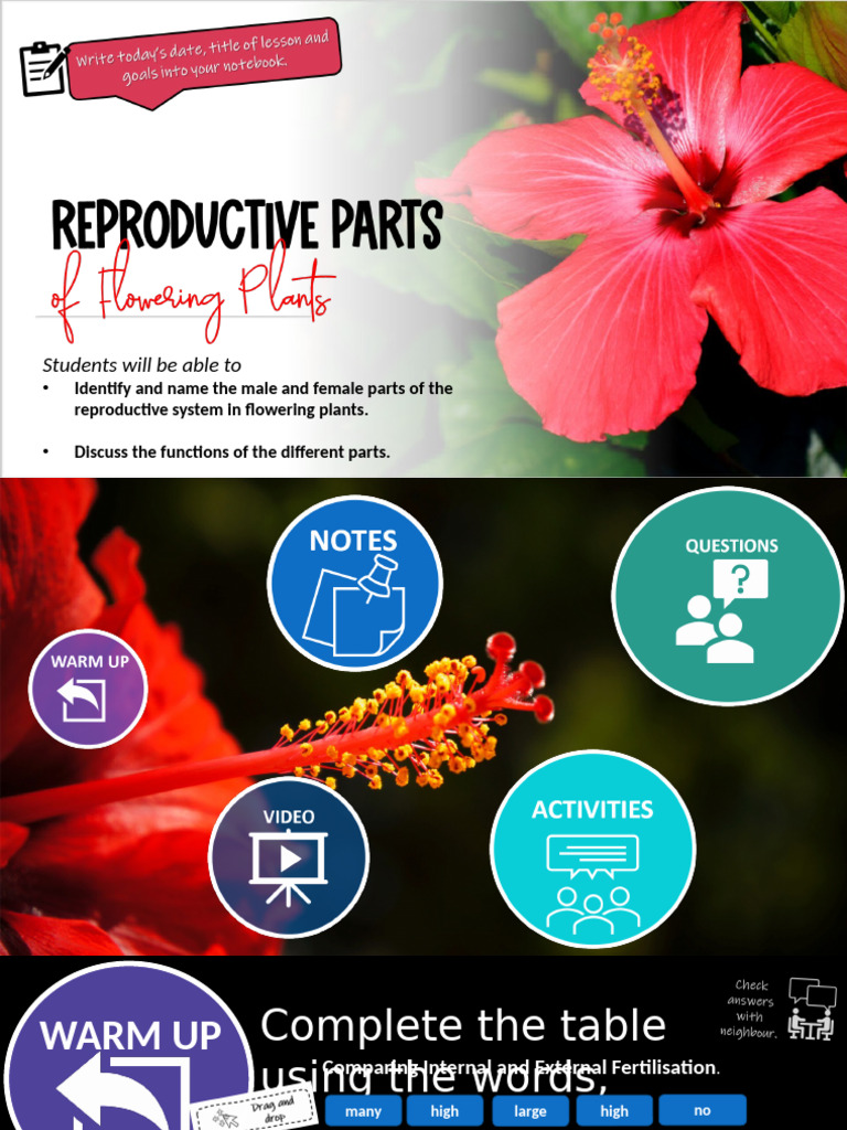 Reproductive Parts of Flowering Plants SV1 | PDF | Flowers | Petal
