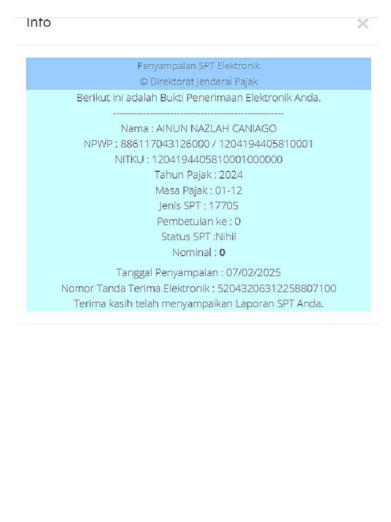 Laporan SPT Tahun 2024 Ainun | PDF