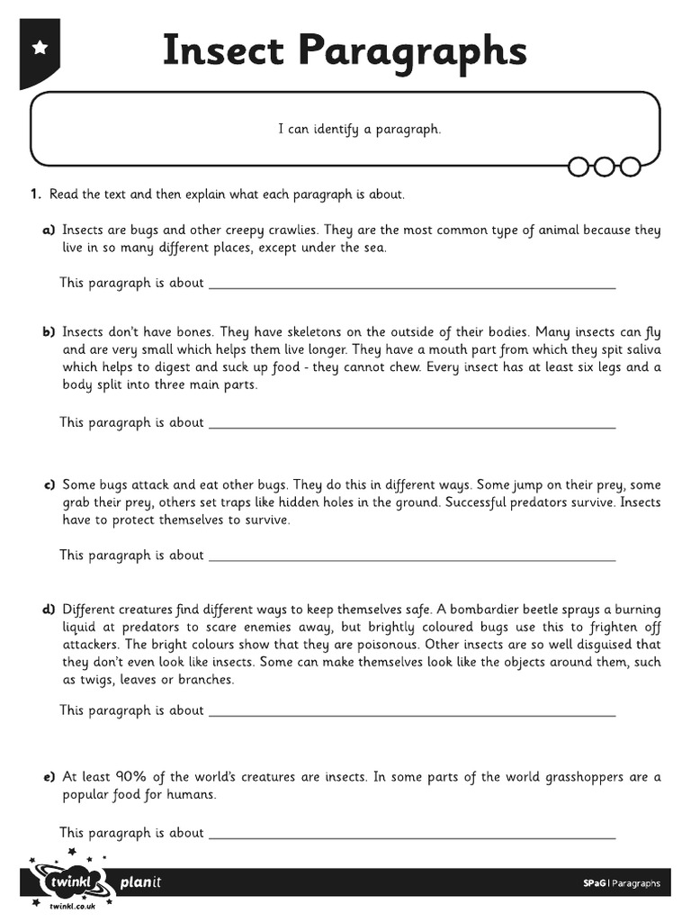 Paragraphs IActivity Sheets | PDF