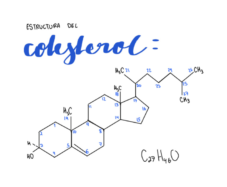 Estructura Del Colesterol | PDF