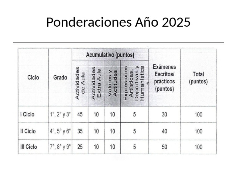 Ponderaciones Año 2025 | PDF