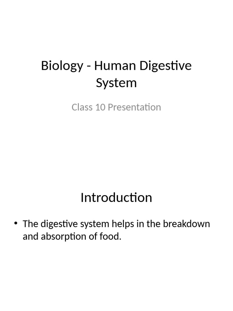 Biology Human Digestive System Presentation | PDF