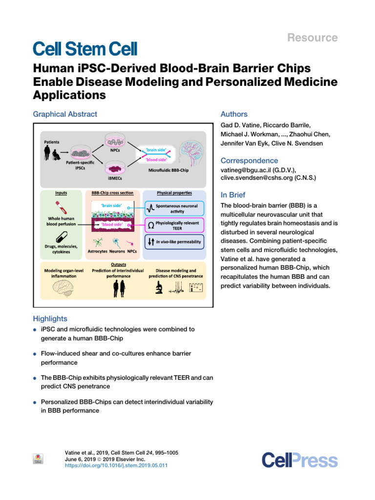 Human iPSC-Derived Blood-Brain Barrier Chips Enable Disease Modeling ...