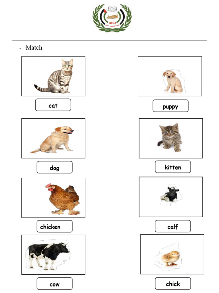 5th Grade Unit 6 Animal Matching Activity | PDF