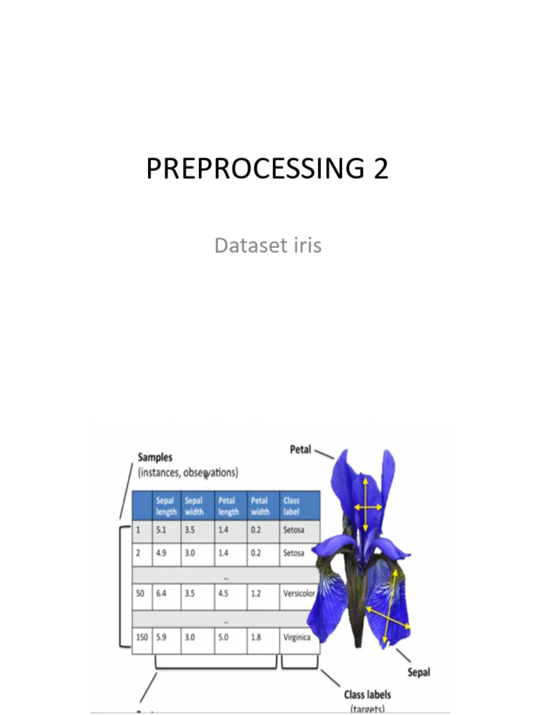 DATA PREPROCESSING 2 | PDF