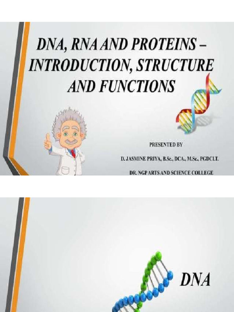 DNA-RNA-AND-PROTEINS-INTRO.STRUCTURE-AND-FUNCTIONS | PDF