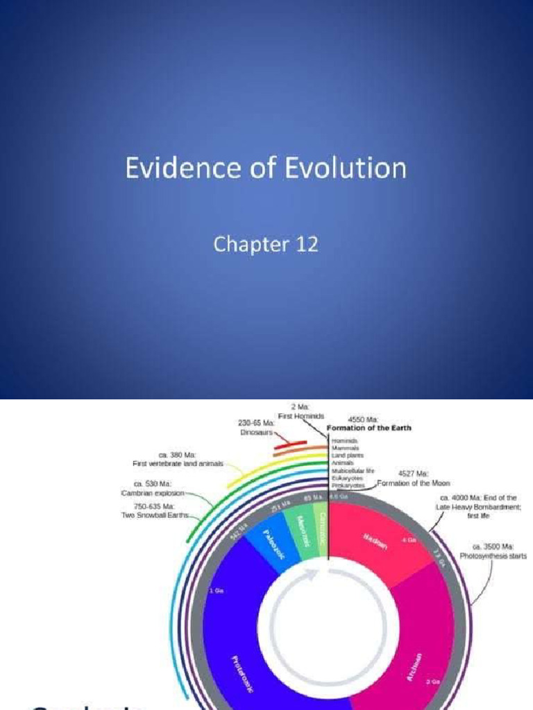 Evidence of Evolution | PDF