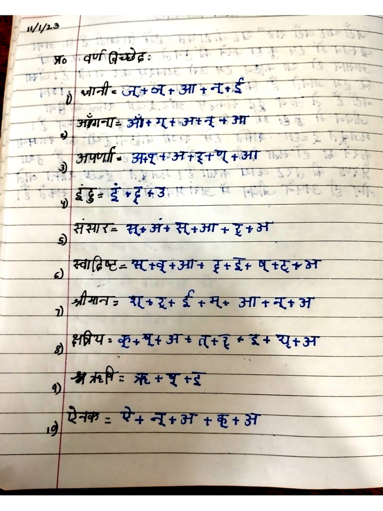 Neel Nayak Hindi | PDF